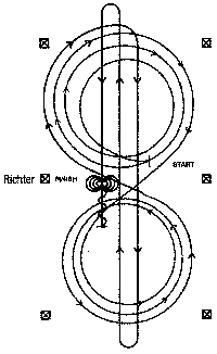 Westernreiten lernen bei Thomas Borchert